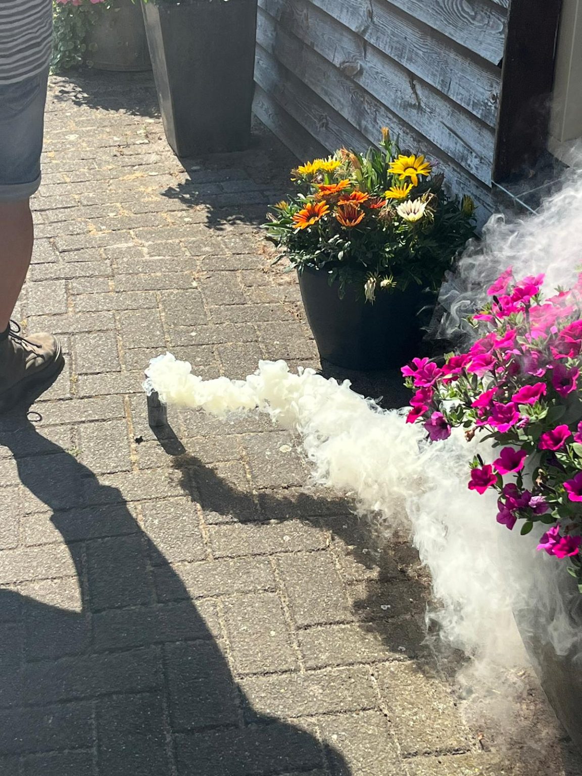 CV De Narre-Kappen | Witte rook en motto 2024 bekend!